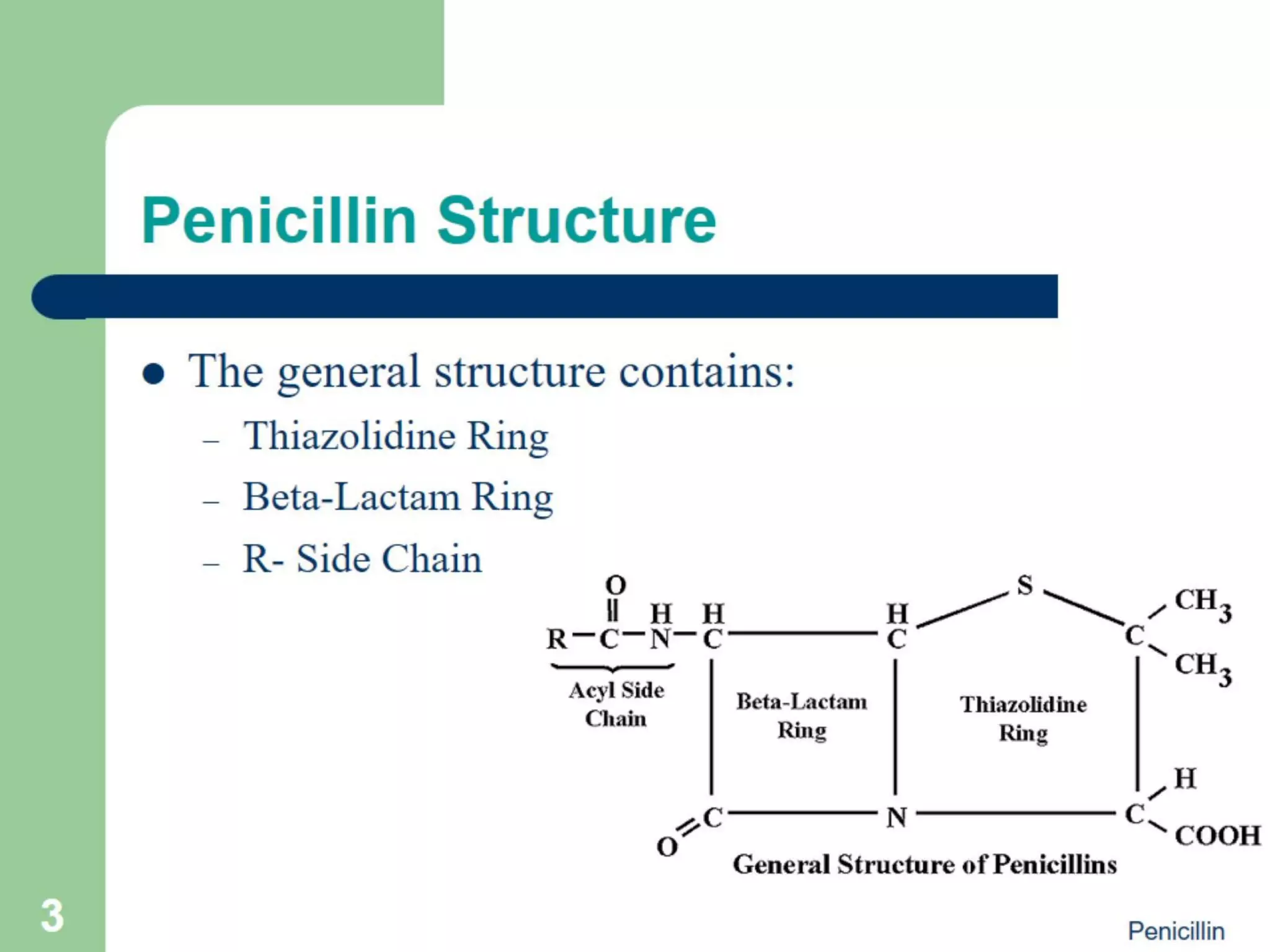 Penicillin Antibiotics - Pharmacology | PDF