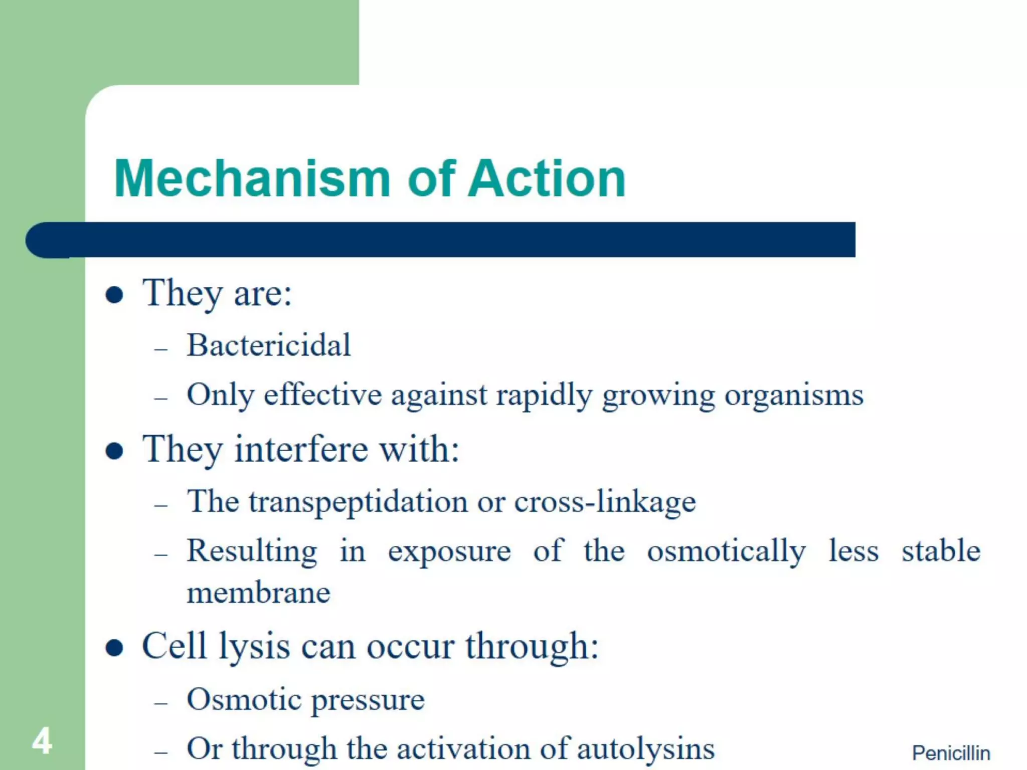 Penicillin Antibiotics - Pharmacology | PDF
