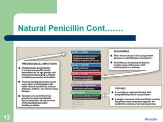 Penicillin Antibiotics - Pharmacology | PDF