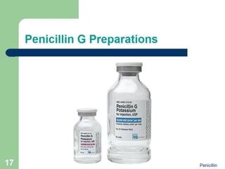 Penicillin Antibiotics - Pharmacology | PDF