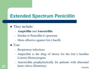 Penicillin Antibiotics - Pharmacology | PDF