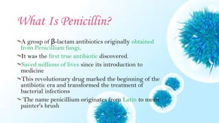 Definition of penicillin and usages in medical | PPT