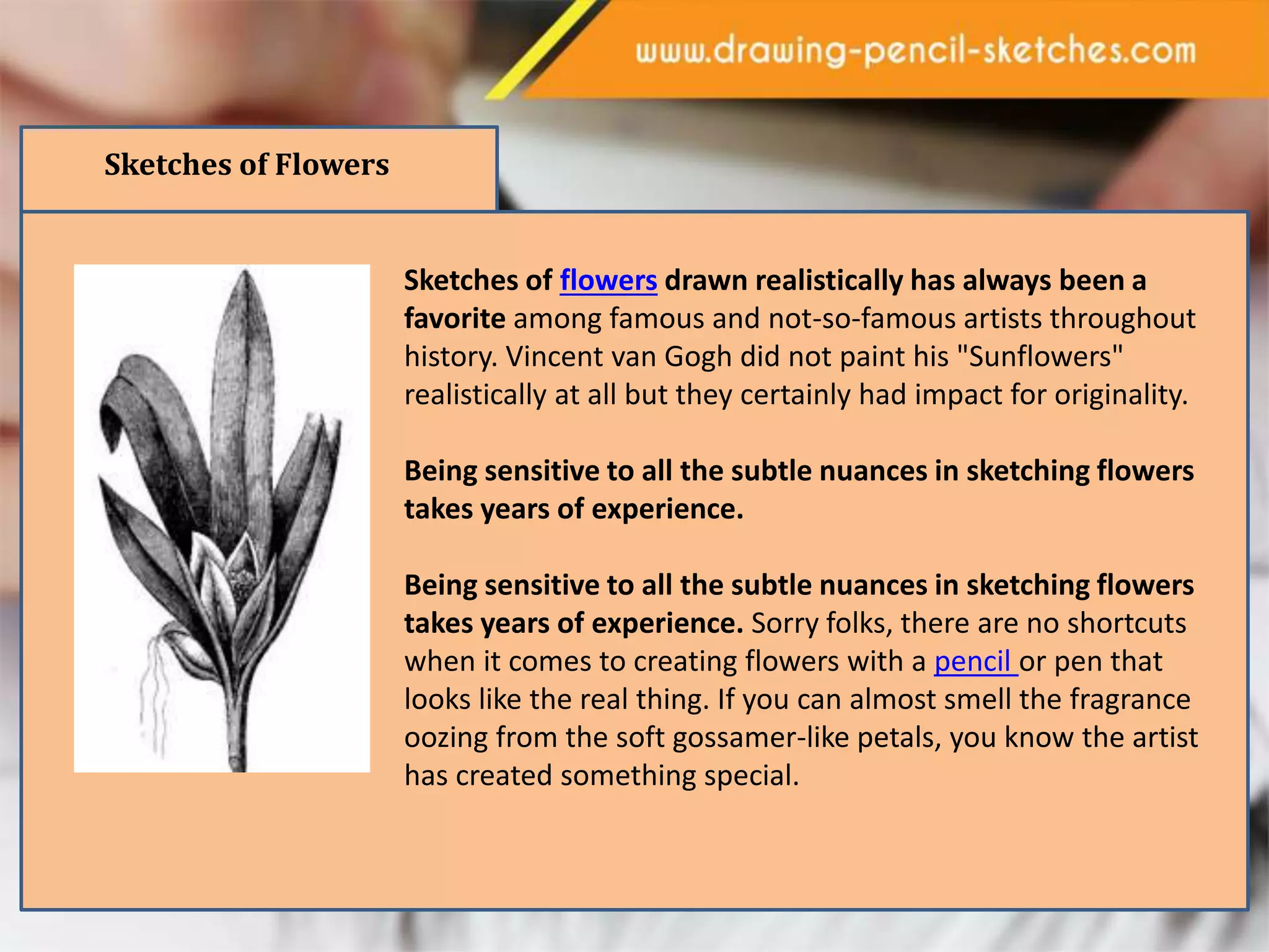 Pencil sketch art classes: Drawing-pencil-sketches | PPTX