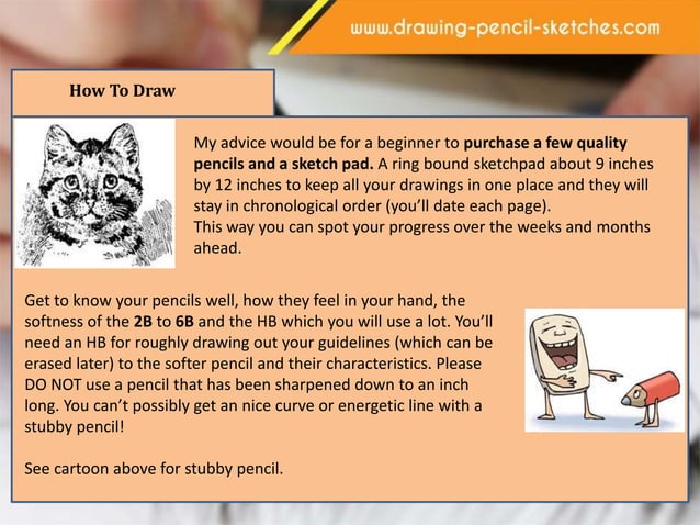 Pencil sketch art classes: Drawing-pencil-sketches | PPTX
