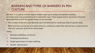 pen culture aqc.pptx design history shape and size species etc | PPTX
