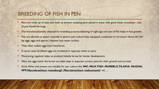 pen culture aqc.pptx design history shape and size species etc | PPTX