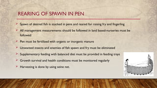 pen culture aqc.pptx design history shape and size species etc | PPTX