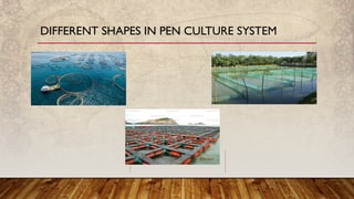 pen culture aqc.pptx design history shape and size species etc | PPTX