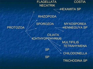 Pendahuluan | PPT