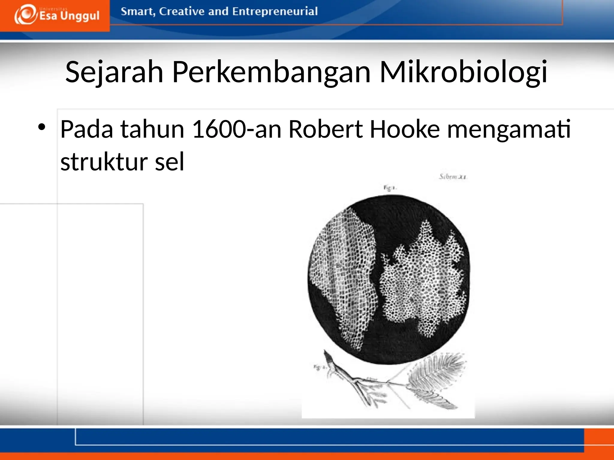 Pendahuluan-dasar dasar mikrobiologi, pengantar mikrobiologi | PPT