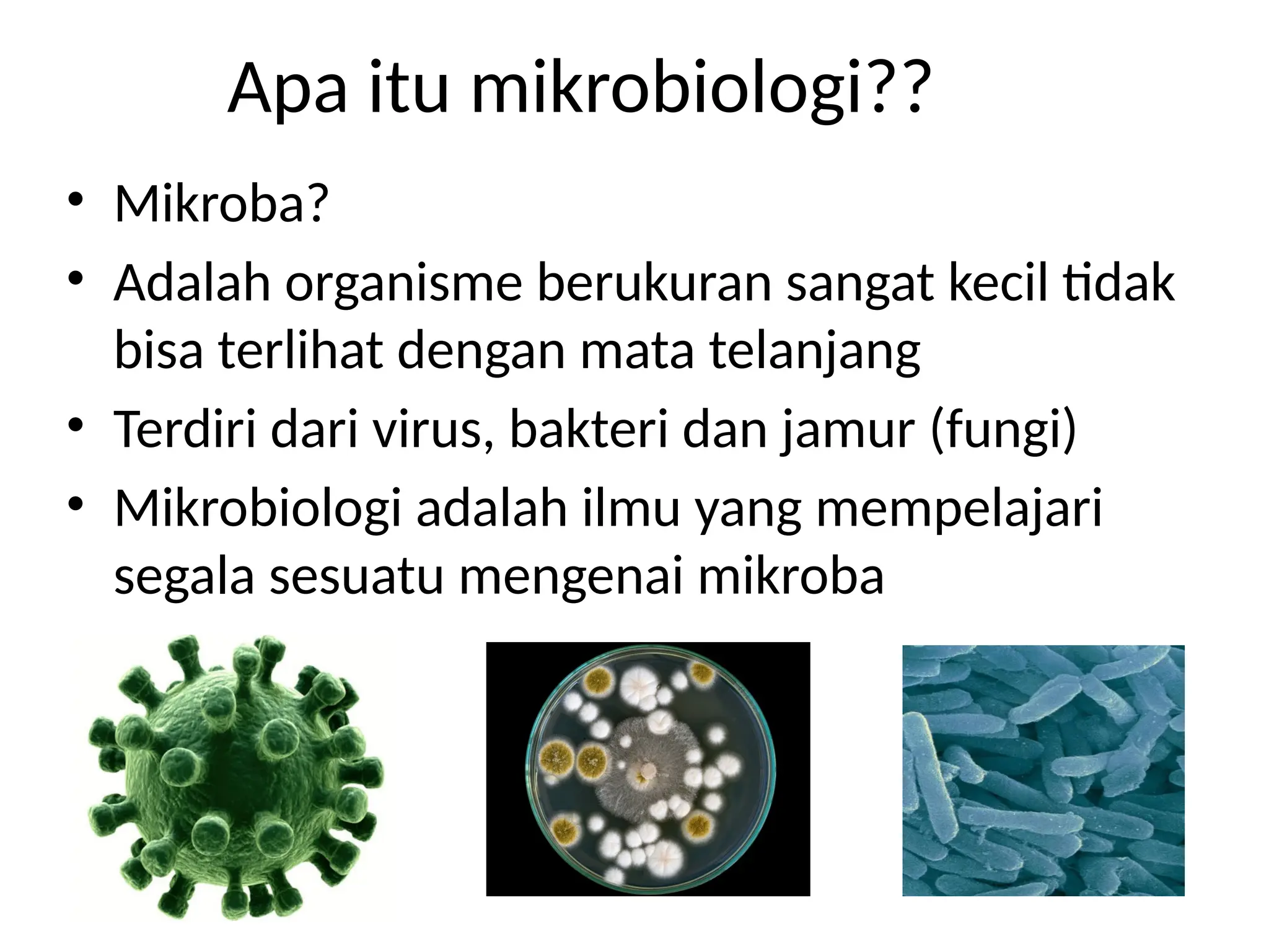 Pendahuluan-dasar dasar mikrobiologi, pengantar mikrobiologi | PPT