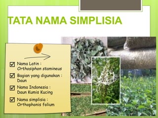 pendahuluan farmakognosi (1).ppt
