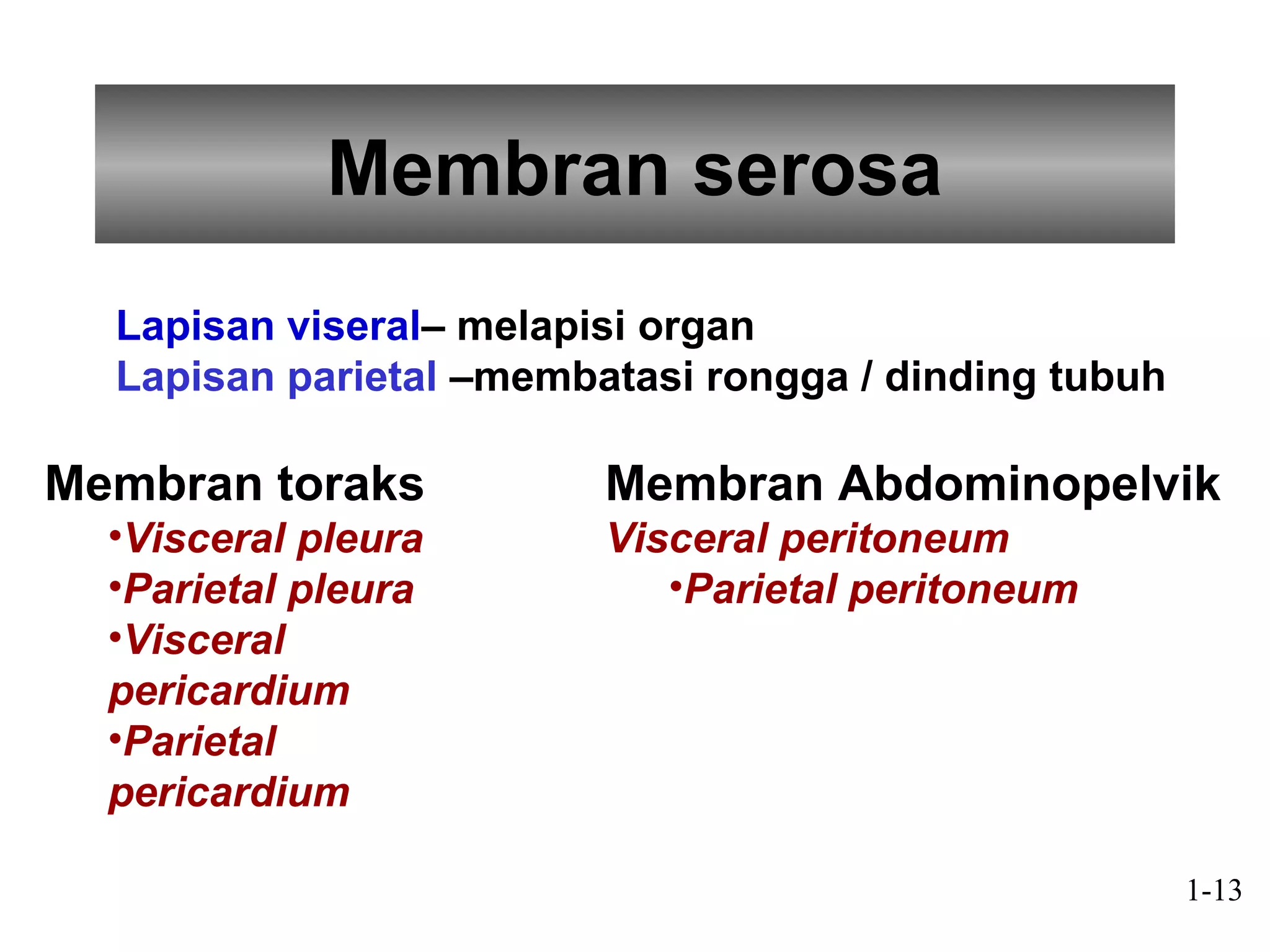 Pendahuluan fisiologi, Anatomi Fisiologi Manusia | PPT