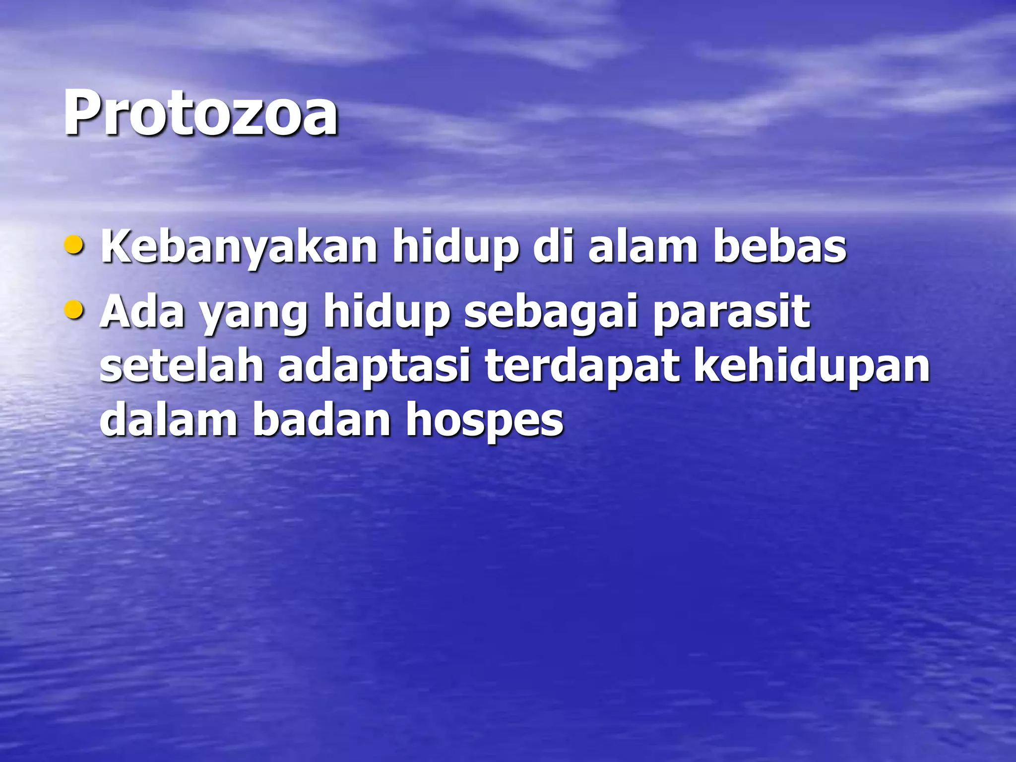 Pendahuluan Protozoa.pptx