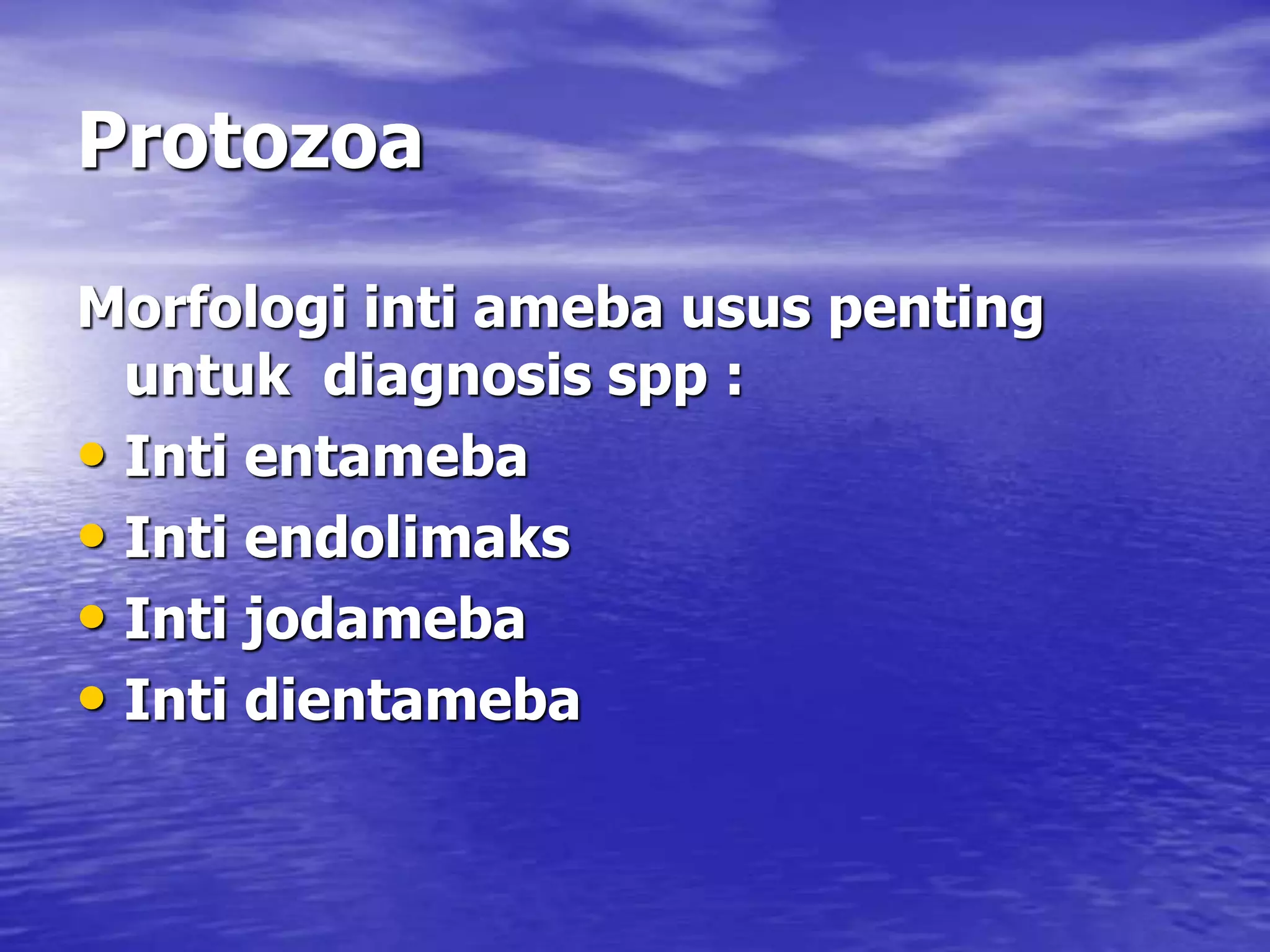 Pendahuluan Protozoa.pptx