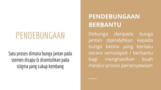 pendebungaan berbantu (1) (1)-3.pptx