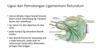 Pendekatan Anatomi pada Radikal Histerektomi.pptx