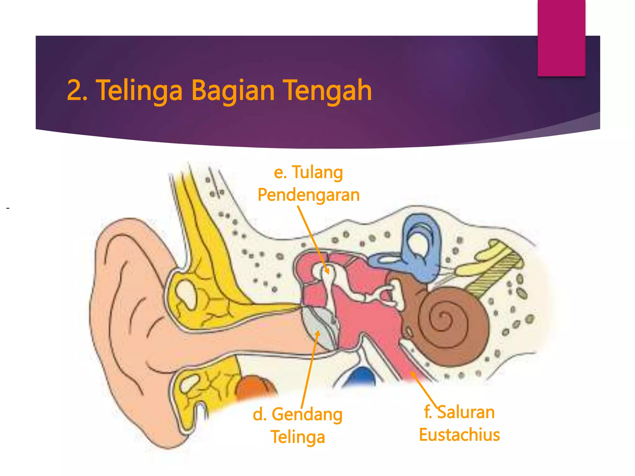 PENDENGARAN PERTEMUAN KE 1 KLS 4.pptx