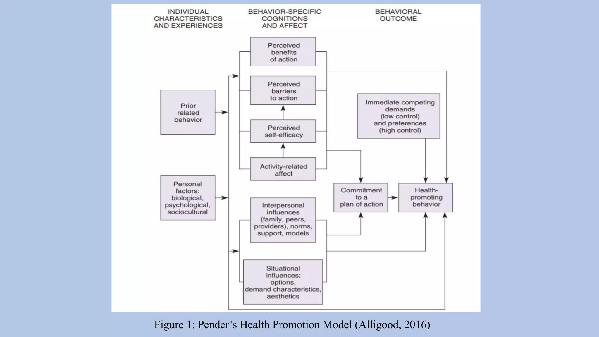 Pender's Health Promotion Model | PPTX
