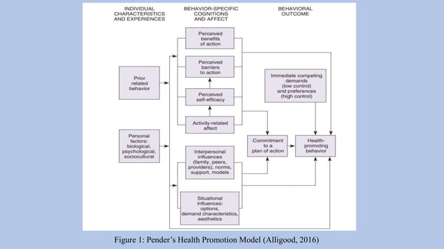 Pender's Health Promotion Model | PPTX | Healthy Living