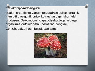 Pendidikan lingkungan hidup ppt | PPTX