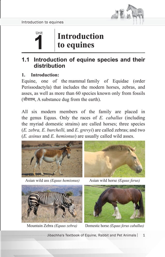 Jibachha's Textbook of Equine,Rabbit & pet Animals-Dr.Jibachha Sah | PDF