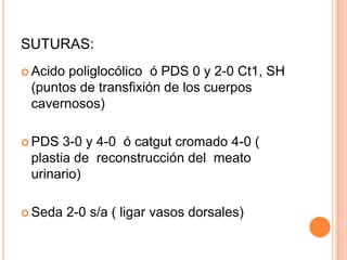 Penectomia expo | PPTX