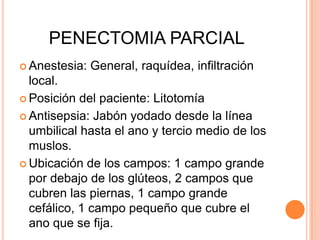 Penectomia expo | PPTX