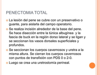 Penectomia expo | PPTX