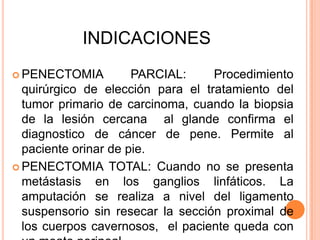 Penectomia expo | PPTX