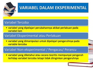 Penelitian Eksperimental.pptx