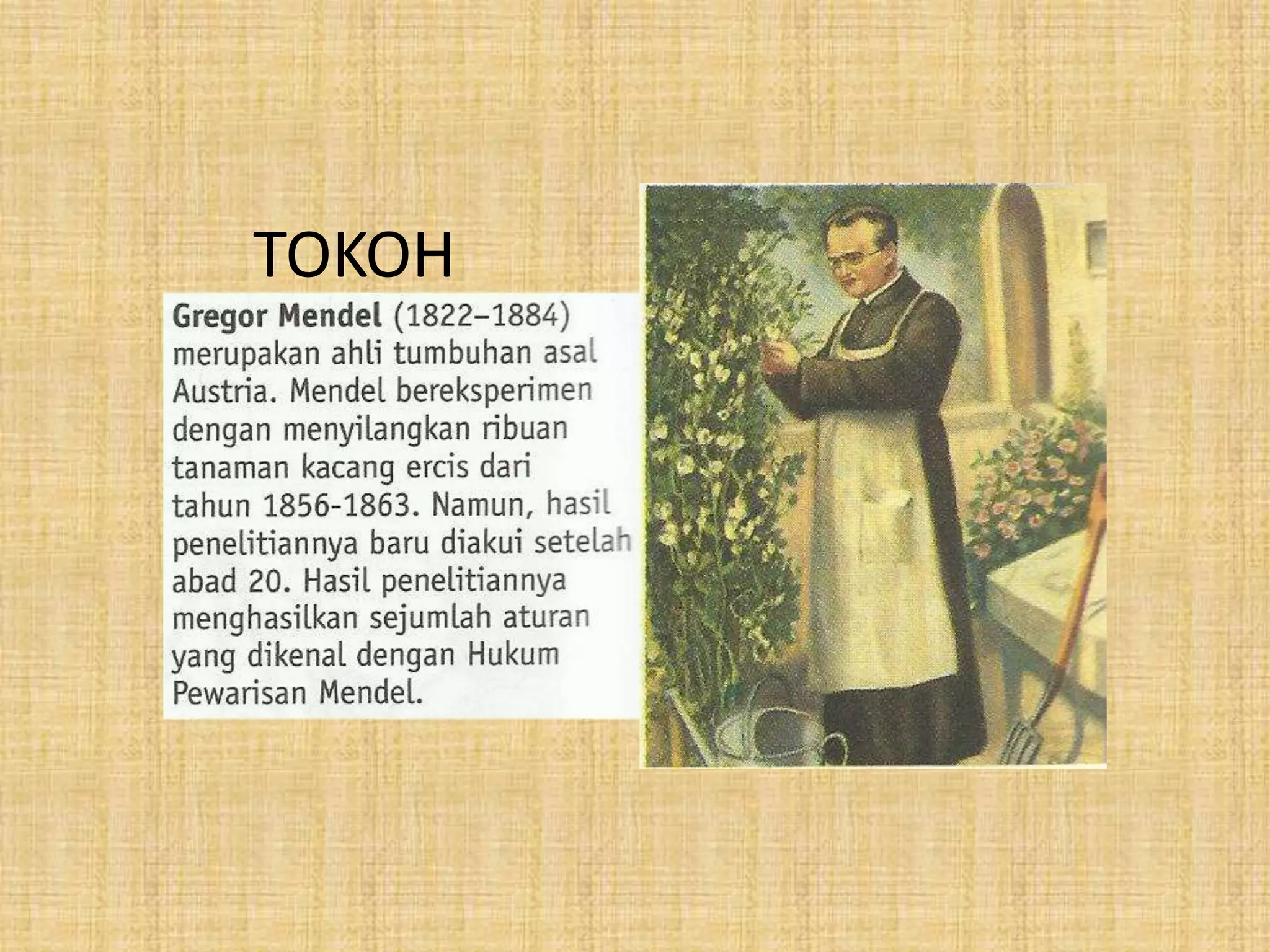 Penelitian gregory mendel | PPT
