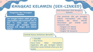 Penentuan Jenis Kelamin, Rangkai Kelamin, Pindah Silang, dan ...
