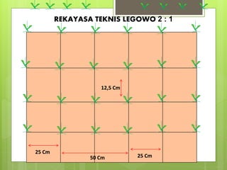 Penerapan tanam cara legowo | PPTX