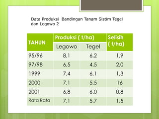 Penerapan tanam cara legowo | PPTX