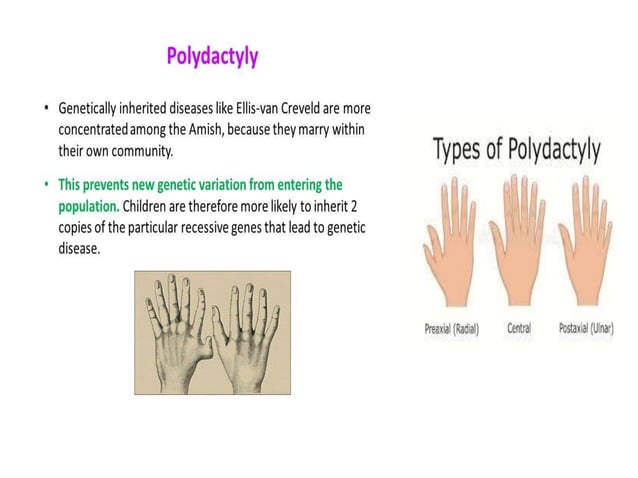 Penetrance and expressivity.pdf | Diabetes | Diseases and Conditions