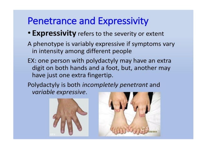 Penetrance and expressivity.pdf Penetrance and expressivity.pdf
