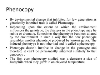 Penetrance and expressivity.pdf