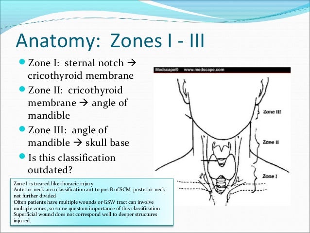 Penetrat neck-injury-100331