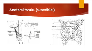 Penetrating Chest Injury.pdf