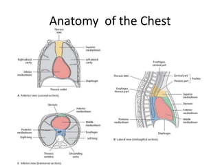 Penetrating chest trauma | PPTX