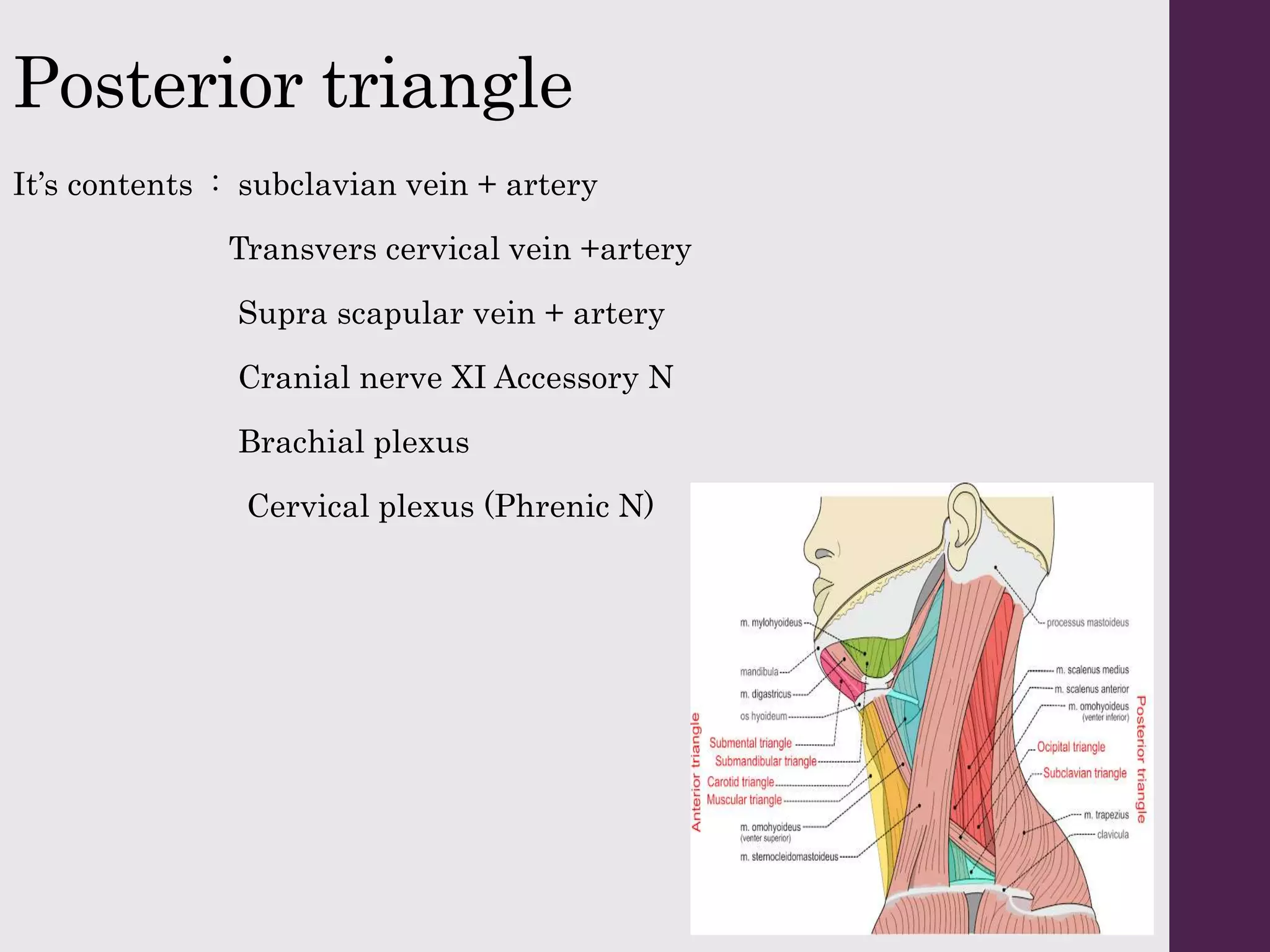 Penetrating neck trauma [autosaved] | PPTX