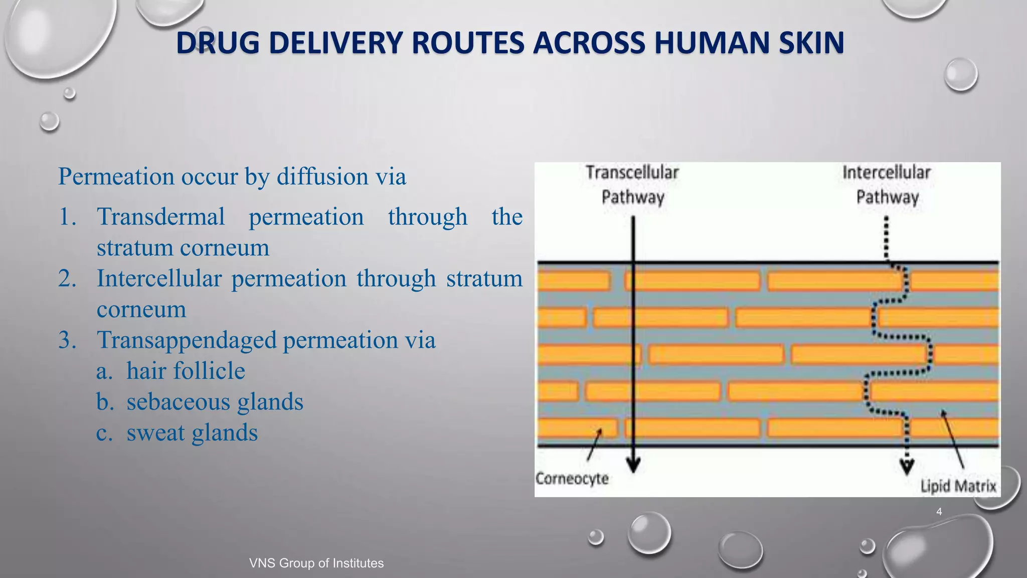 Penetration enhancer with their examples | PPSX