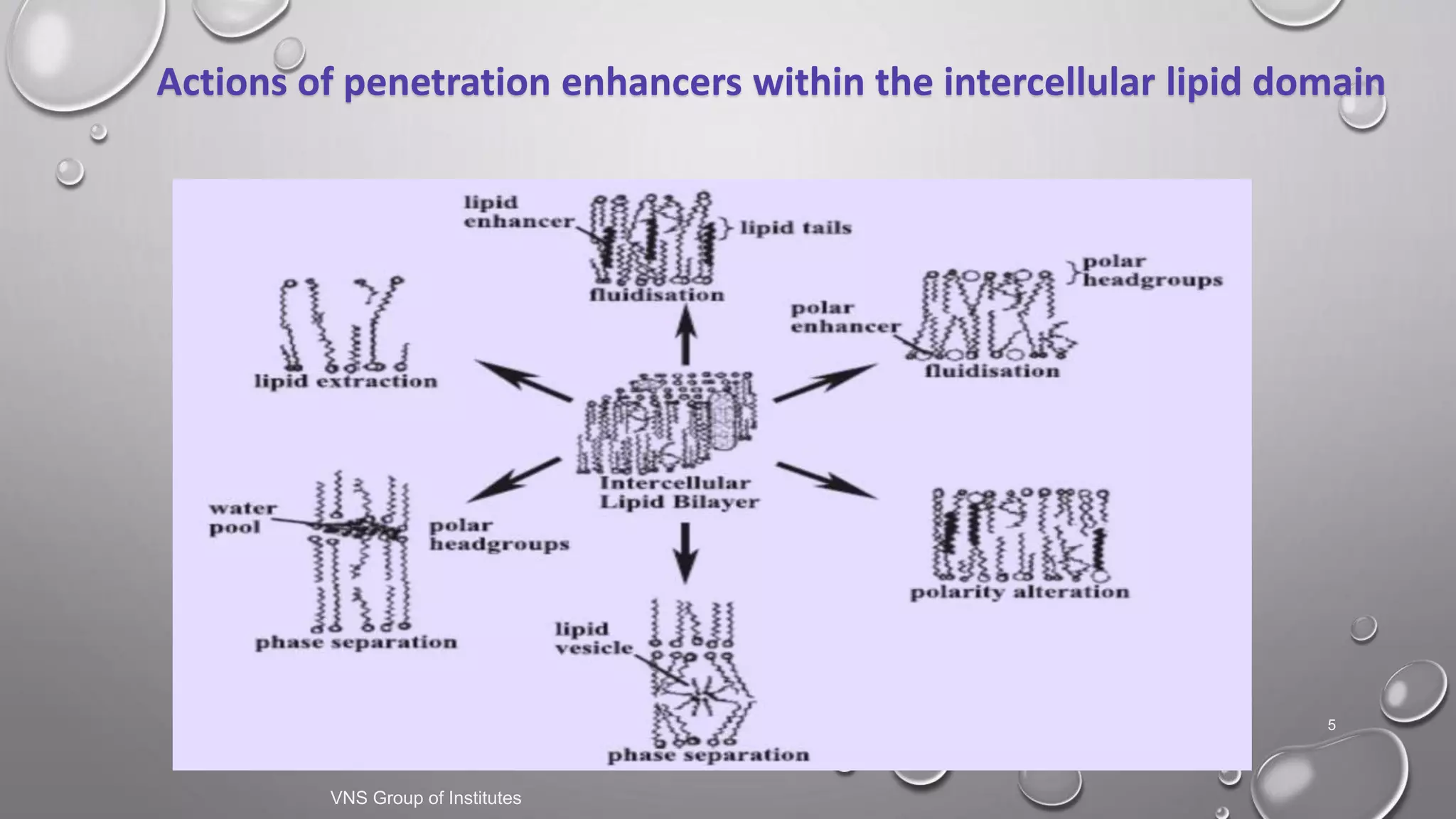 Penetration enhancer with their examples | PPSX