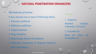 Penetration enhancer with their examples | PPSX