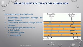 Penetration enhancer with their examples | PPSX