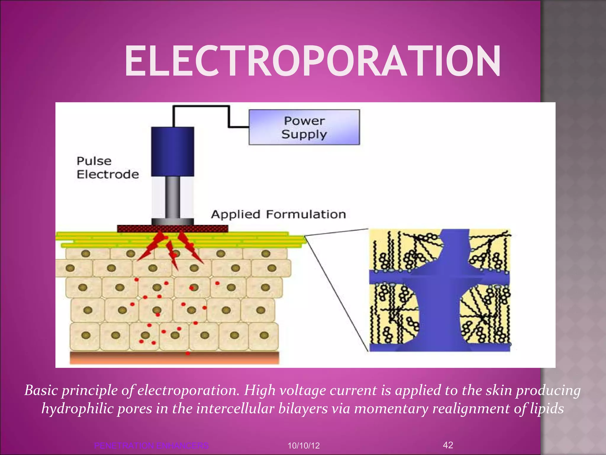 Penetration enhancers Used in transdermal drug delivry | PPT