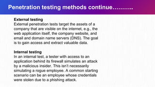 Penetration Testing for Cybersecurity Professionals | PPTX