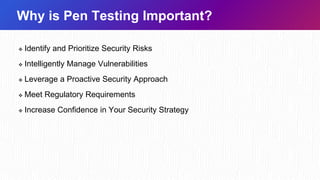 Penetration Testing for Cybersecurity Professionals | PPTX