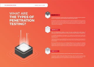 Penetration Testing Guide | PDF
